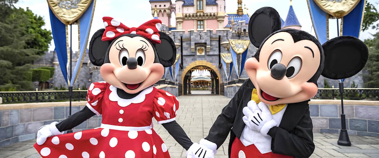 Real Followers Never Need To Have Reminders To Behave At Disney | Theme ...