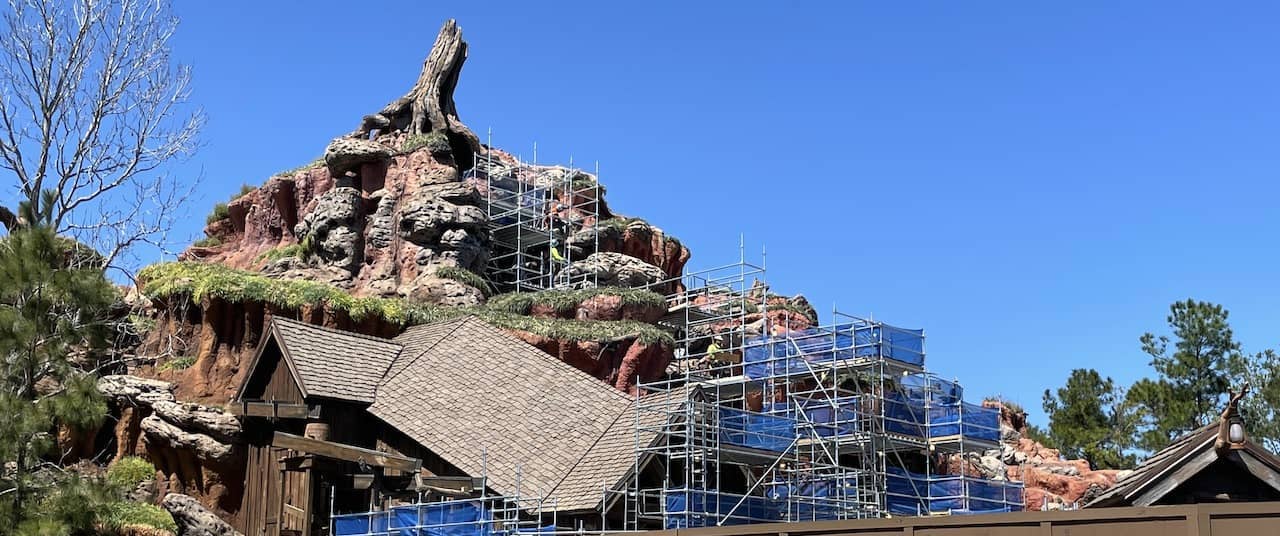 What Is Coming Up Coming At Walt Disney Environment | Theme-Park.org