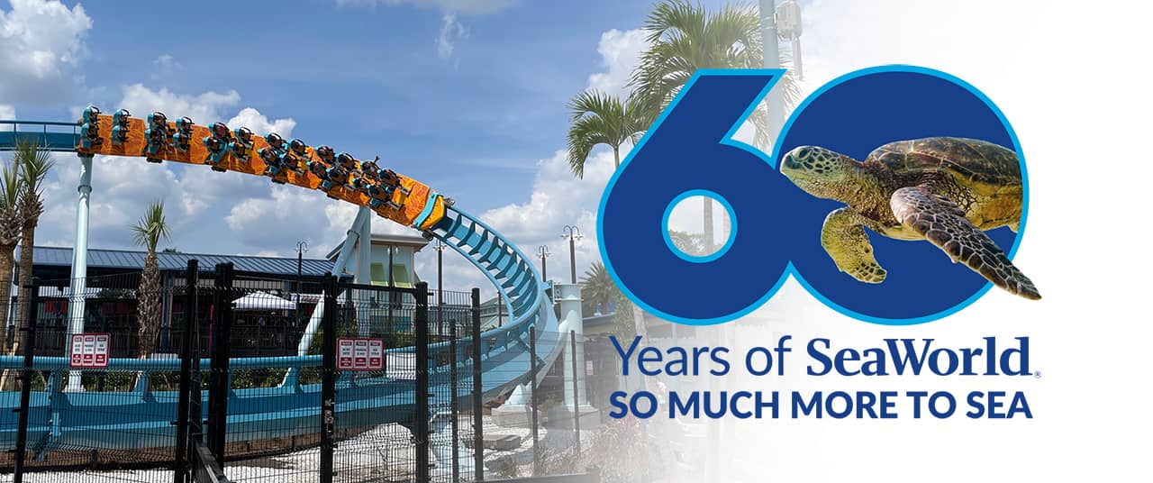 SeaWorld Prepares For 60th Anniversary Celebration | Theme-Park.org