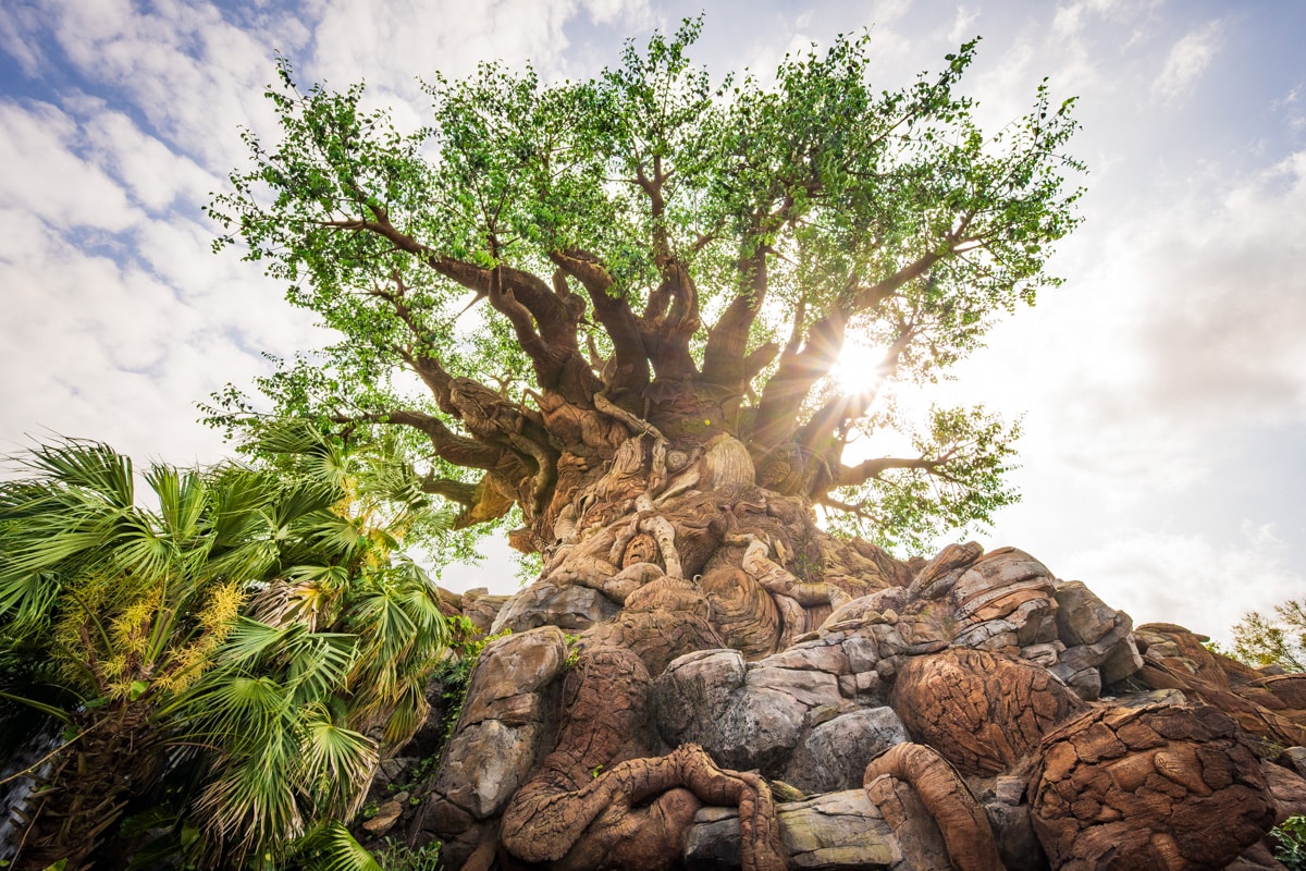 Should You Skip Disney's Animal Kingdom? | Theme-Park.org